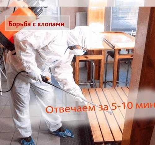 Средство против клопов