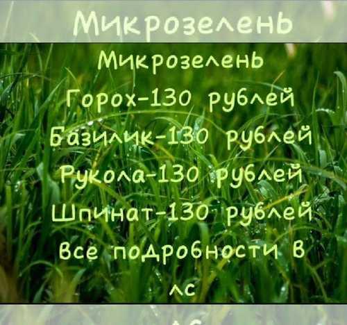 Микрозелень