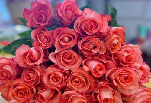 Цветы и букеты:Розы сортовые