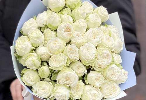Пион пионовидные белые розы