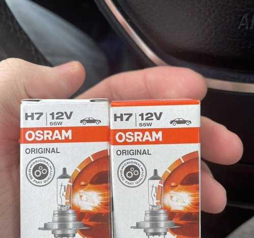 Лампочки osram