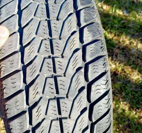 КАМА Кама-Nikola 195/65 R15 91H