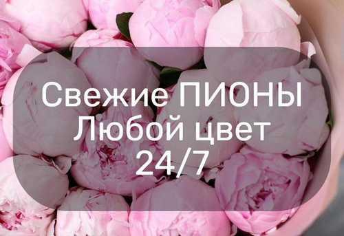 Доставка цветов, пионы Роза Москва 51 пион