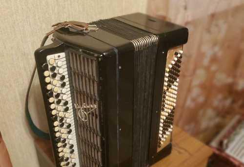 Баян кубань