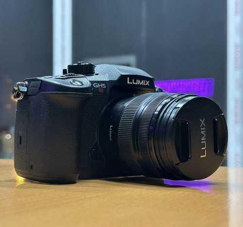 Panasonic lumix gh5s