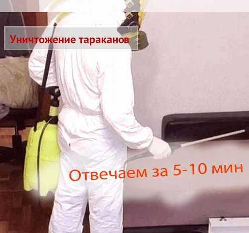Средство против крыс, тараканов, клопов