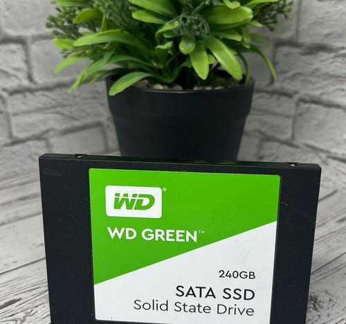 SSD диск WD Green 240gb SATA