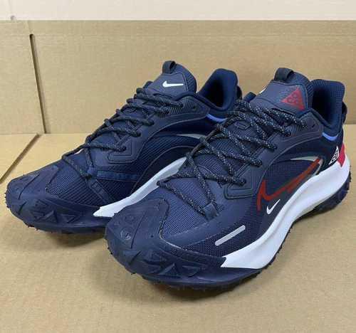 Кроссовки Nike ACG Mountain Fly 2 Low Gtx Blue