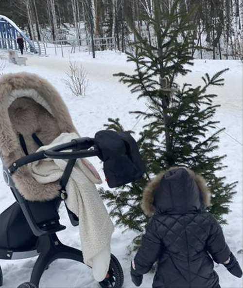 Stokke xplory v6 + оч много аксов