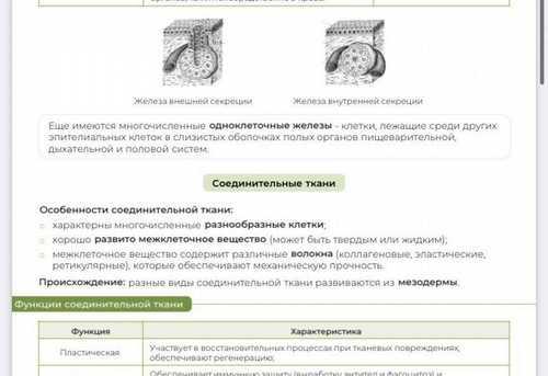 Теория для подготовки к Егэ по биологии