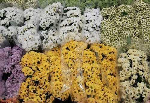 Цветы хризантемы и букеты с доставкой