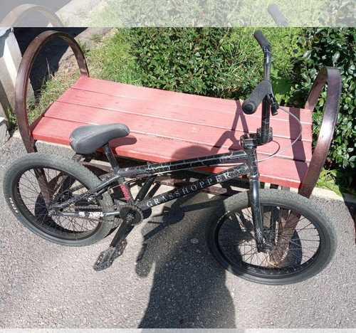 TT grasshopper bmx