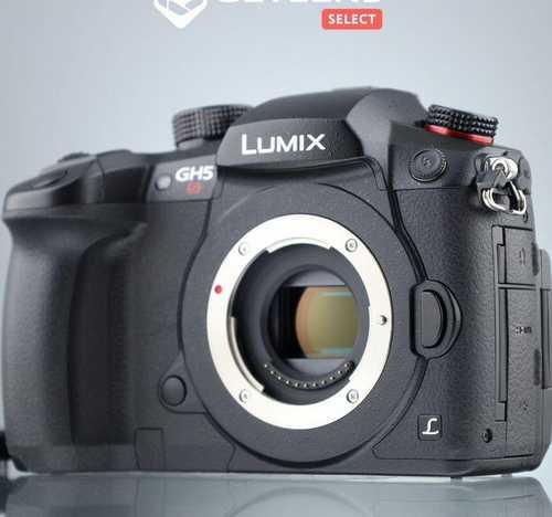 Panasonic Lumix DC-GH5S Body (id-06240866)