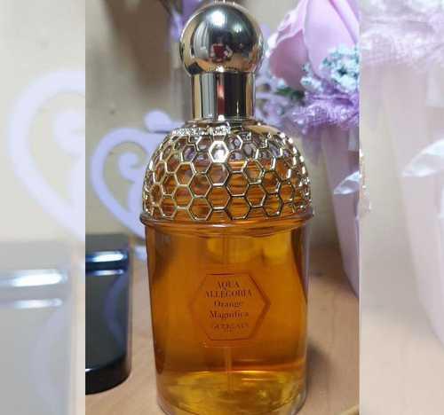 Guerlain aqua allegoria orange magnifica