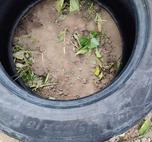 Matador MP 82 Conquerra 2 215/65 R16 98H