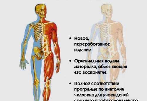 Атлас анатомии человека Р.П. Самусев