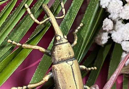 Статуэтка латунь жук долгоносик в коллекцию металл