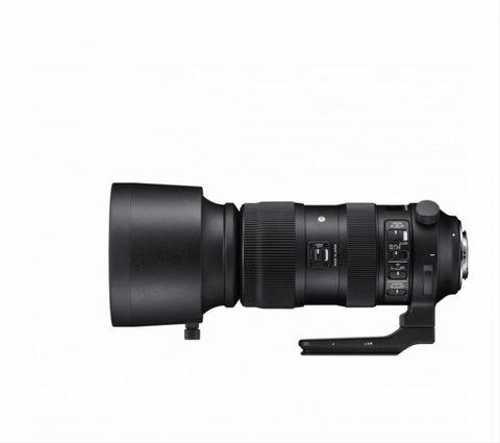 Новый Sigma 60-600mm HSM Sports Nikon F