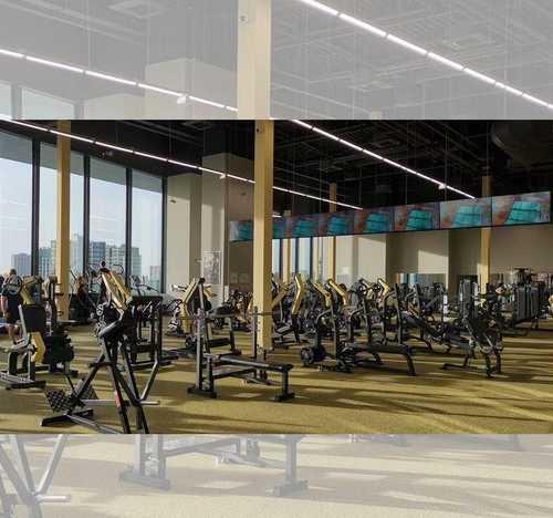 Fitness house premier в Охта молле на 17 месяцев