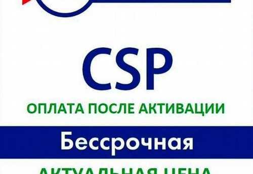 Криптопро лицензия CSP 5.0 12800 кс 1. Постоянная