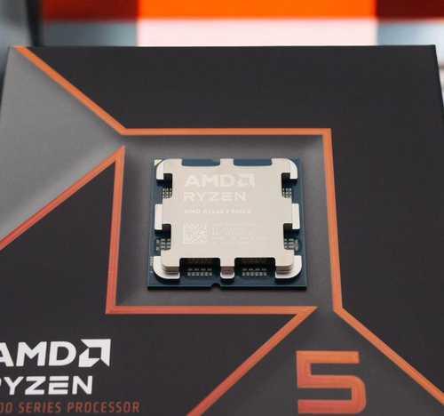 Amd ryzen 5 9600x