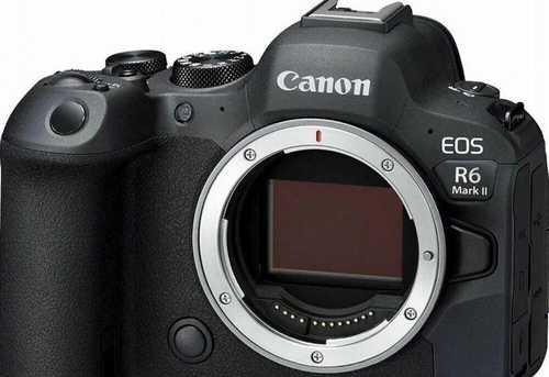 Canon R6 Mark II Body новый