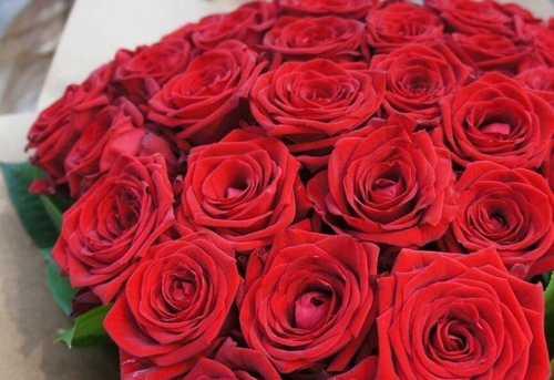 Розы Цветы Букет Доставка 101 роза 55 роз 25 роз