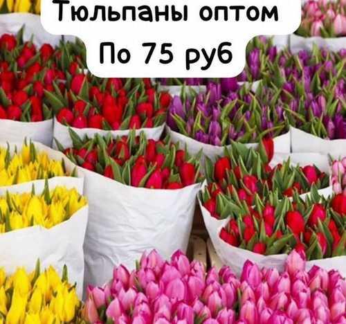 Тюльпаны к 8 марта оптом