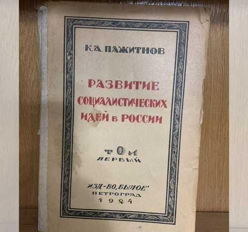 Развитие социалистических идей в России 1924