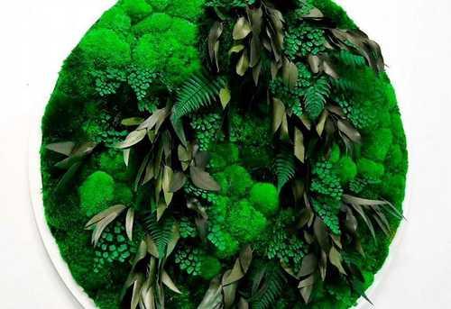 Круглые фитокартины 'Оазис зеленой энергии'