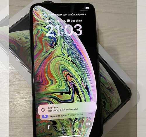 iPhone Xs Max, 256 ГБ