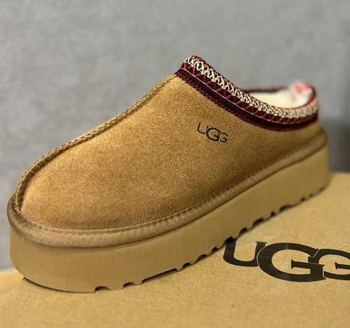 Ugg tasman