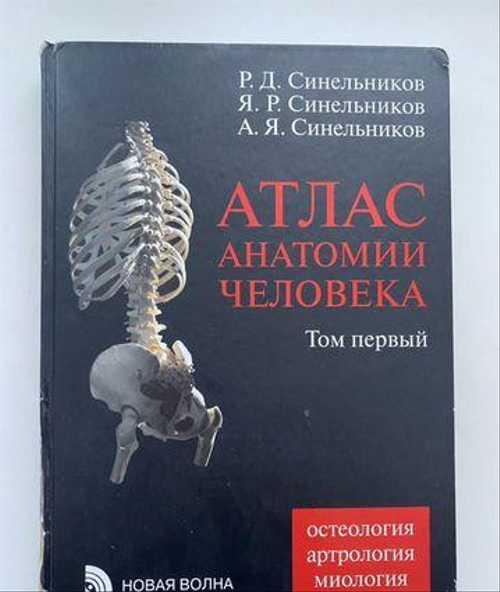 Анатомический атлас Синельникова. Атлас анатомии Синельников. Атлас Синельникова анатомия.