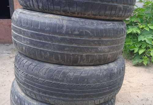 Accelera Alpha 175/65 R14