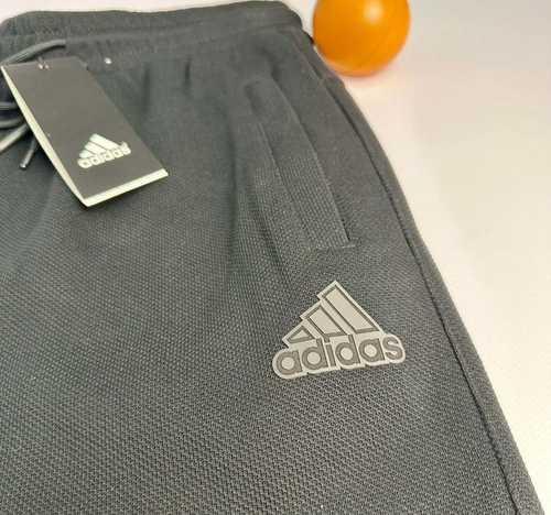 Спортивные штаны Adidas Terrex