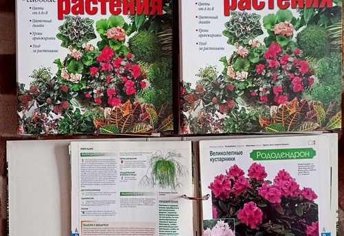 Журналы о растениях
