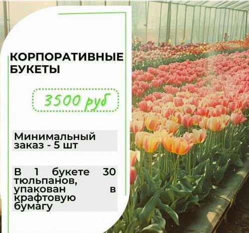 Продажа букетов с тюльпанами для компаний