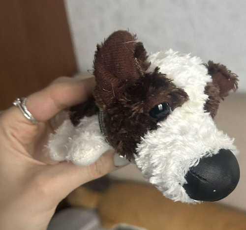 The dog collection