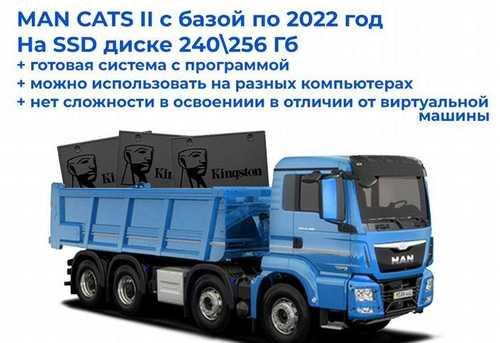 Man Cats 2 2022