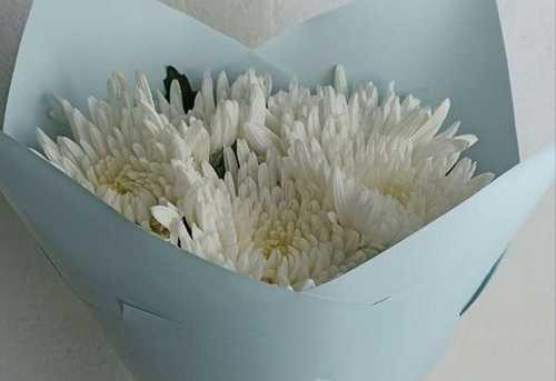 Цветочный букет хризантема с доставкой
