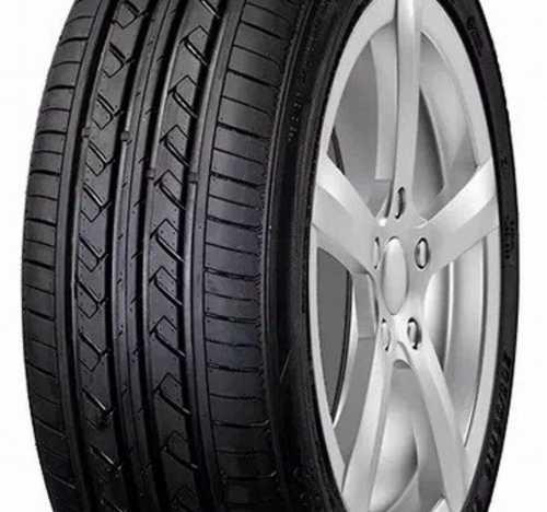 Rapid P309 205/55 R16 91V