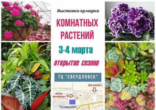 Выставка-ярмарка растений 3-4 марта Екатеринбург