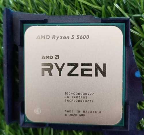 Новый процессор Ryzen 5600 гарантия