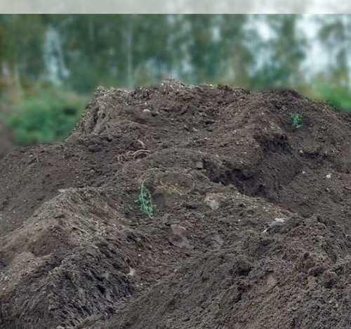 Приму Грунт