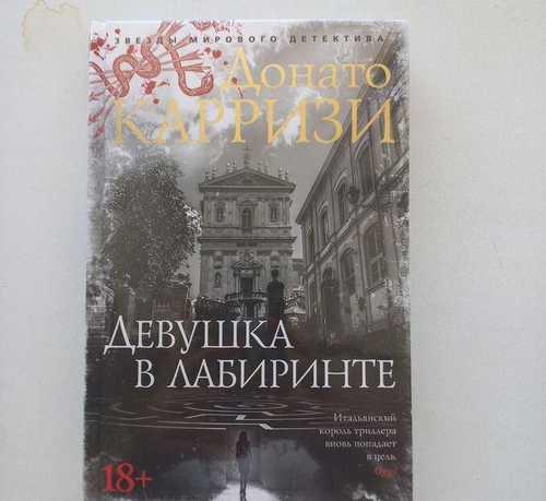 Книга "Девушка в лабиринте". Новая