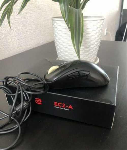 Мышка Zowie EC2-A