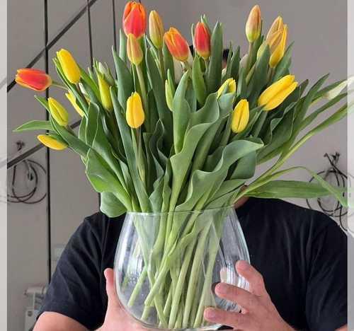Тюльпаны от производителя к 8 марта
