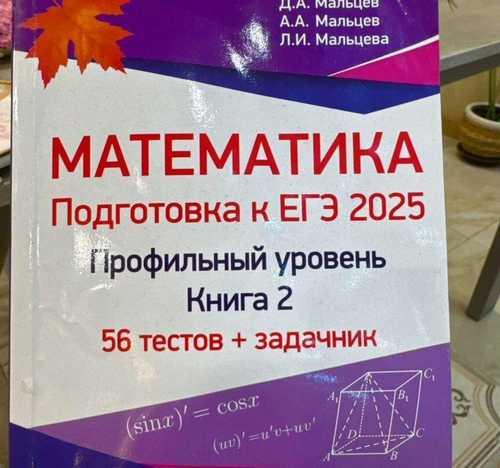 Прдготовка к ЕГЭ 2025