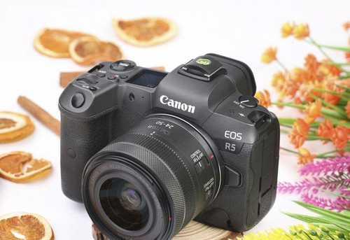 Canon RF 24-50mm F4.5-6.3 IS STM