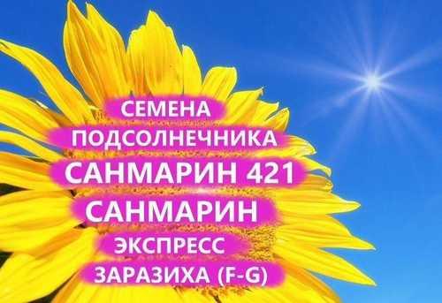 Семена подсолнечника Галактика Гибриды